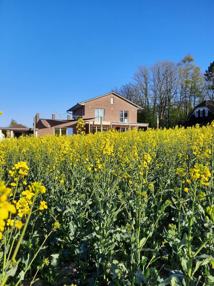 56 M² Ferienwohnung ∙ 1 Schlafzimmer ∙ 3 Gäste - Stapelfeld