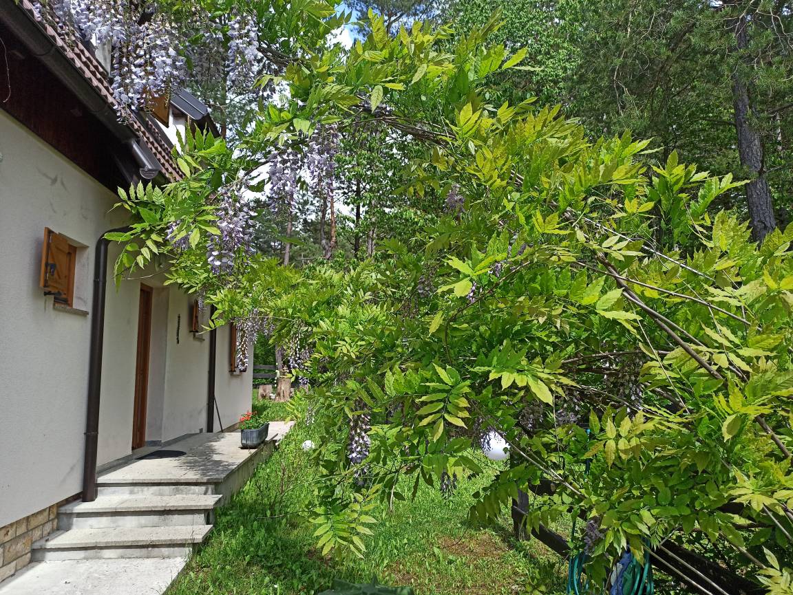 35 M² Lodge ∙ 1 Bedroom ∙ 4 Guests - Croatia