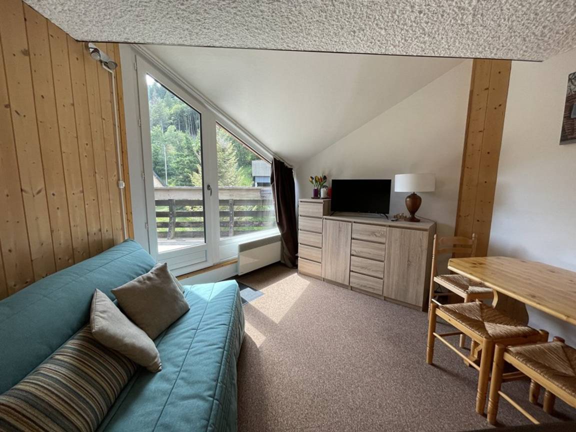 23 M² Studio Flat ∙ 1 Bedroom ∙ 4 Guests - Le Lioran