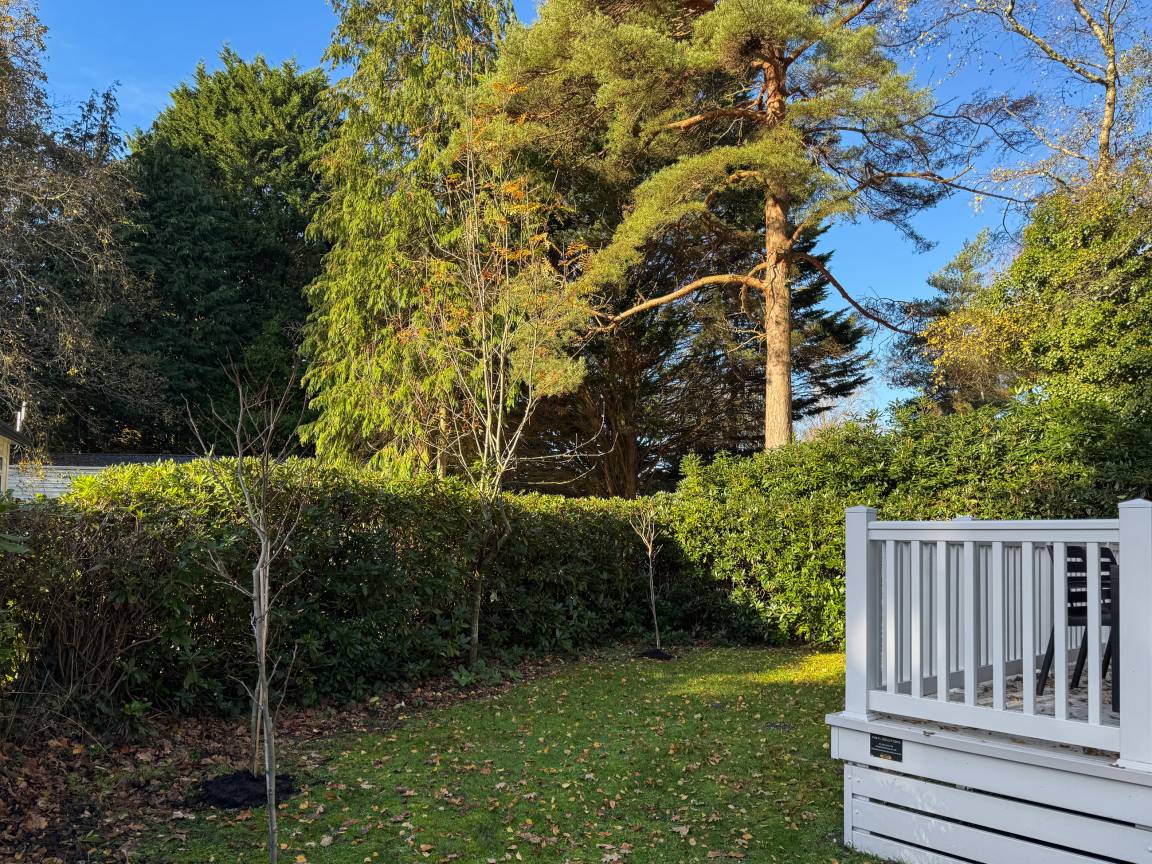 Cottage ∙ 3 Bedrooms ∙ 6 Guests - Wareham