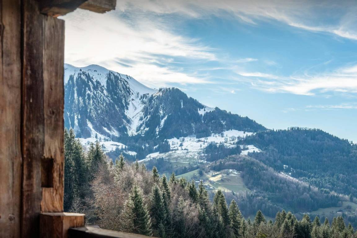 300 M² Chalet ∙ 5 Schlafzimmer ∙ 14 Gäste - Le Chinaillon
