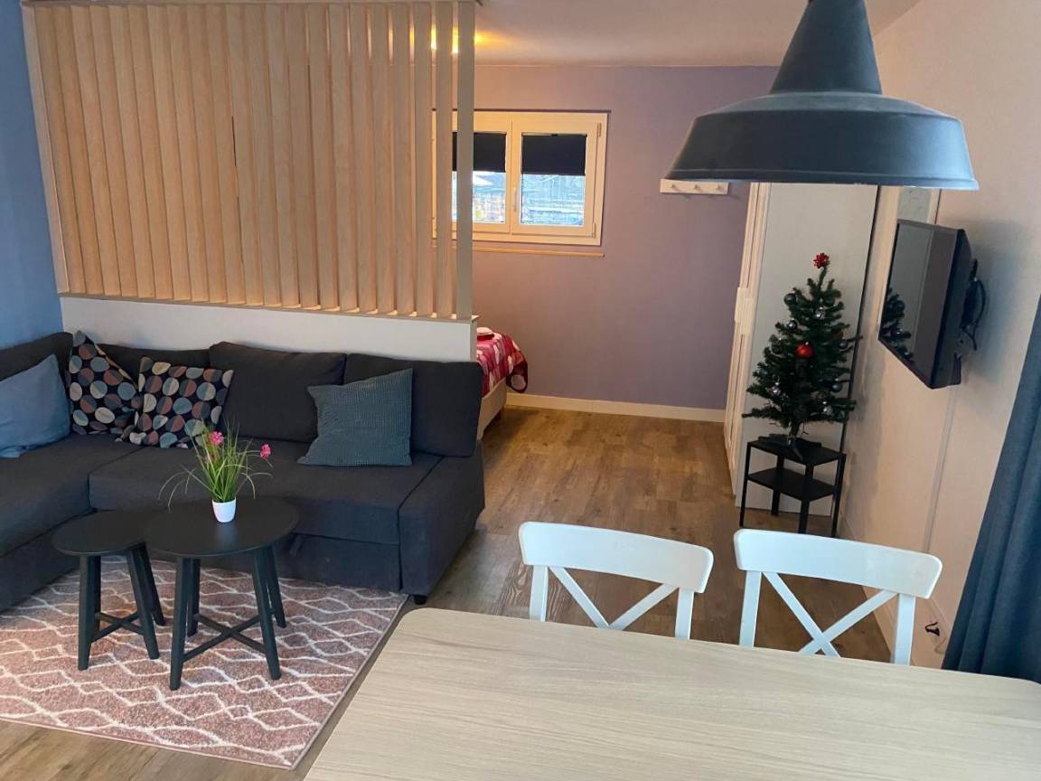 36 M² Apartment ∙ 1 Bedroom ∙ 4 Guests - Brienz