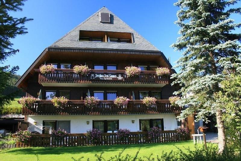 72 M² Appartement ∙ 1 Slaapkamer ∙ 5 Gasten - Titisee-Neustadt