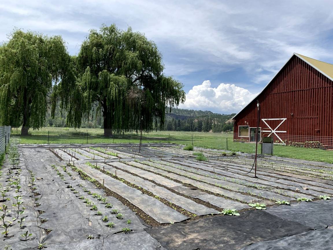 Farmhouse ∙ 2 Bedrooms ∙ 15 Guests - White River Falls State Park, Maupin