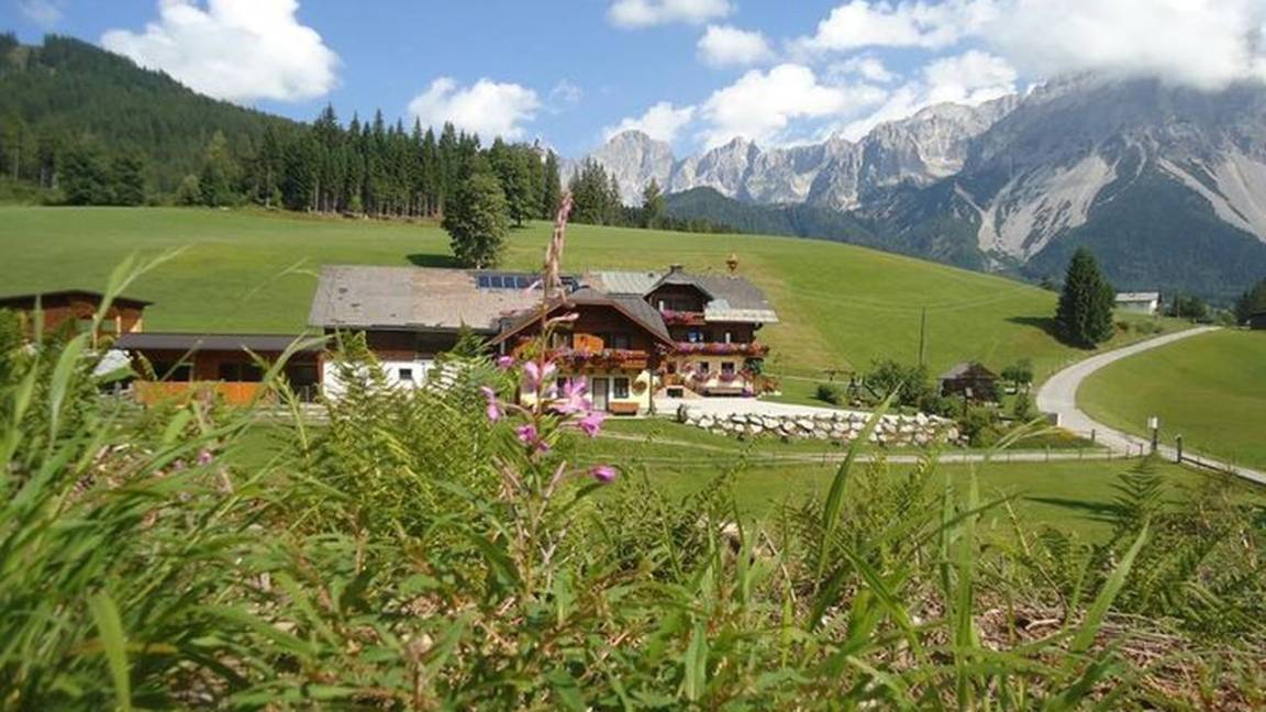 21 M² Hotel ∙ 1 Habitación ∙ 3 Huéspedes - Hallstatt