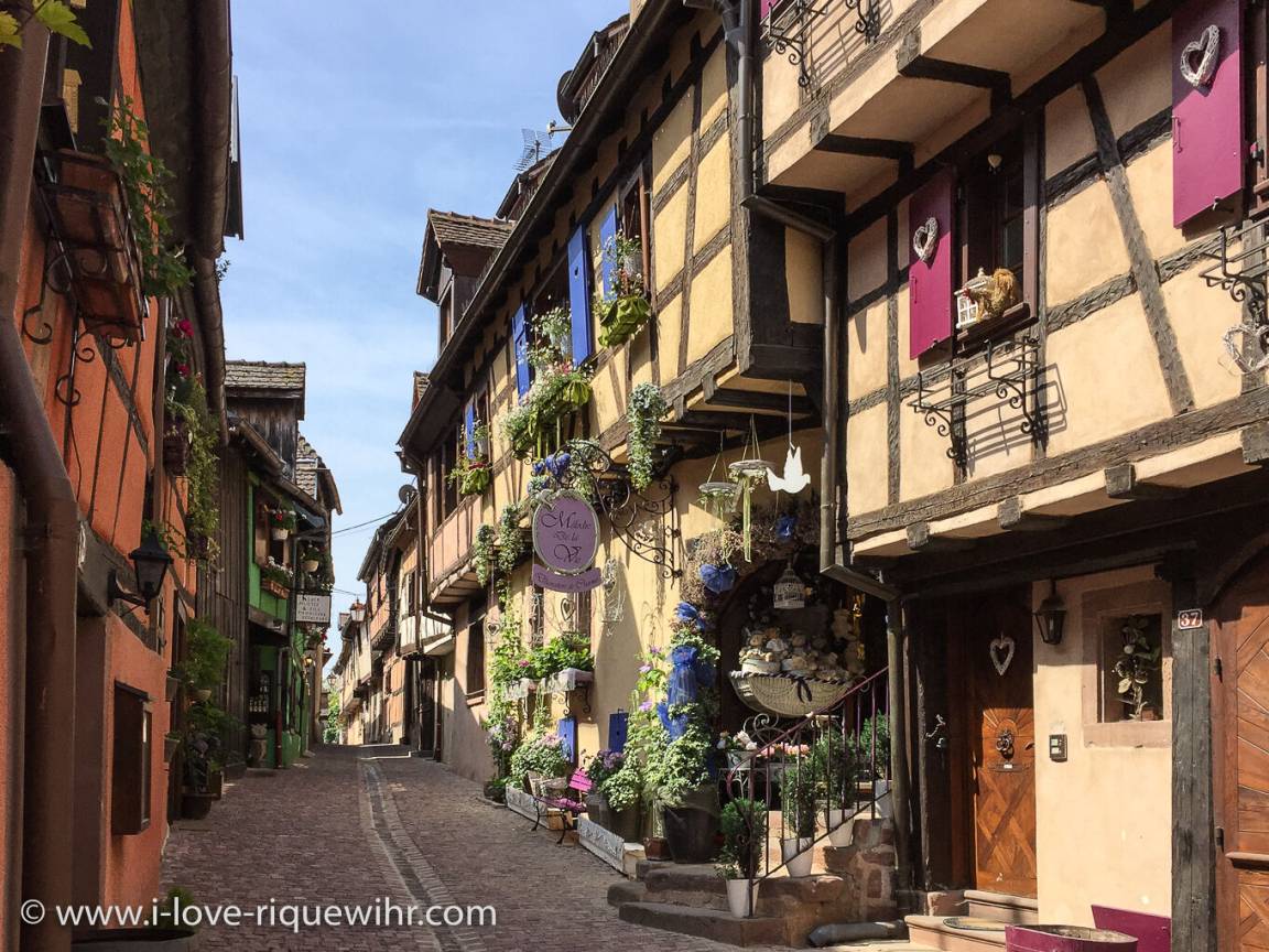 50 M² Appartement ∙ 1 Chambre ∙ 2 Personnes - Kaysersberg