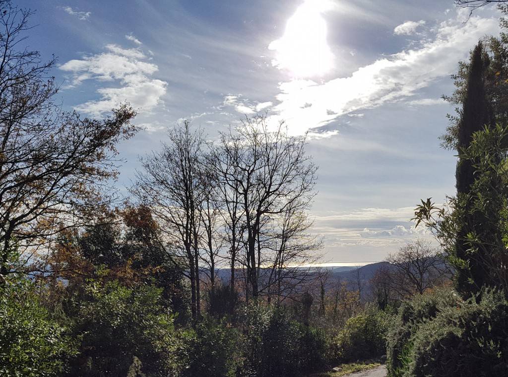 45 M² Apartamento ∙ 1 Habitación ∙ 4 Huéspedes - Castagneto Carducci