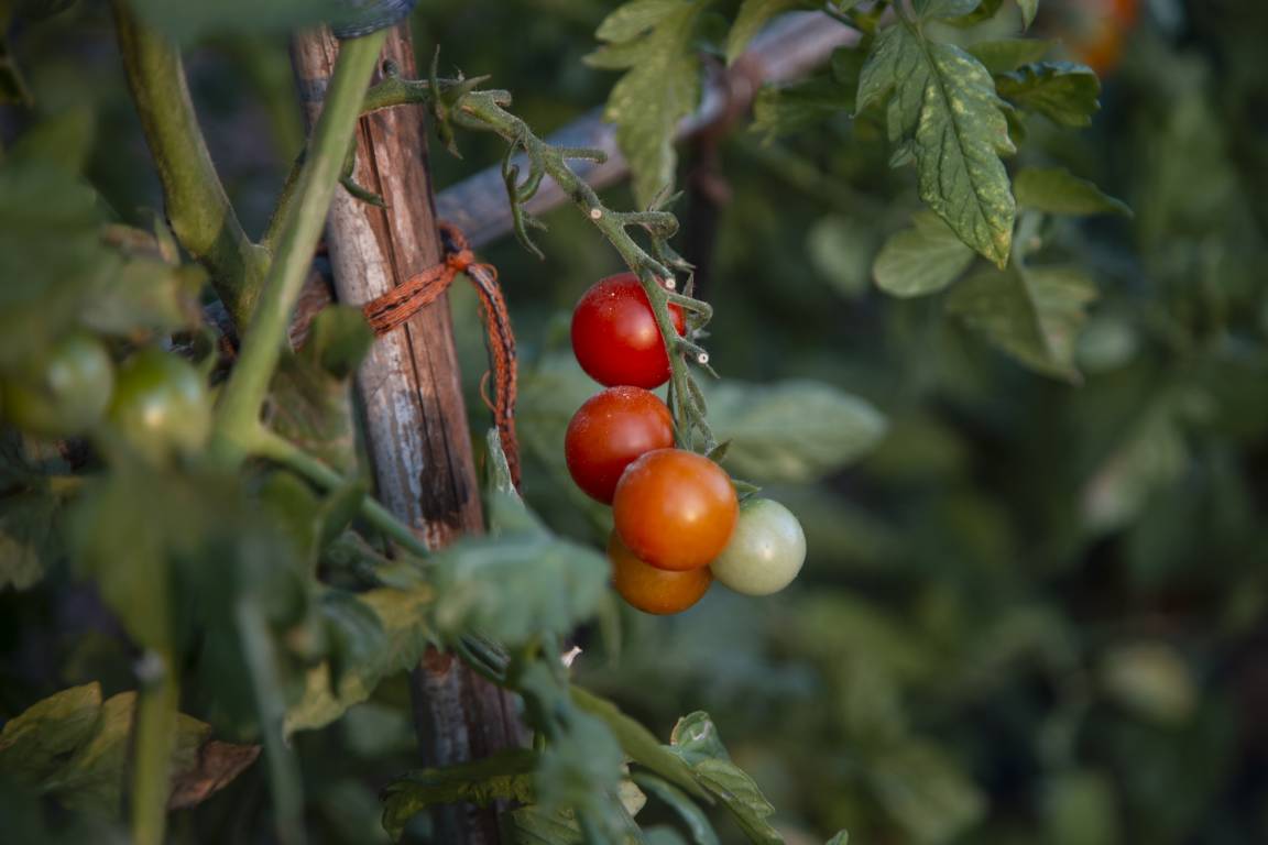 Casa Vacanza ∙ 2 Camere Da Letto ∙ 5 Ospiti - Torre San Giovanni