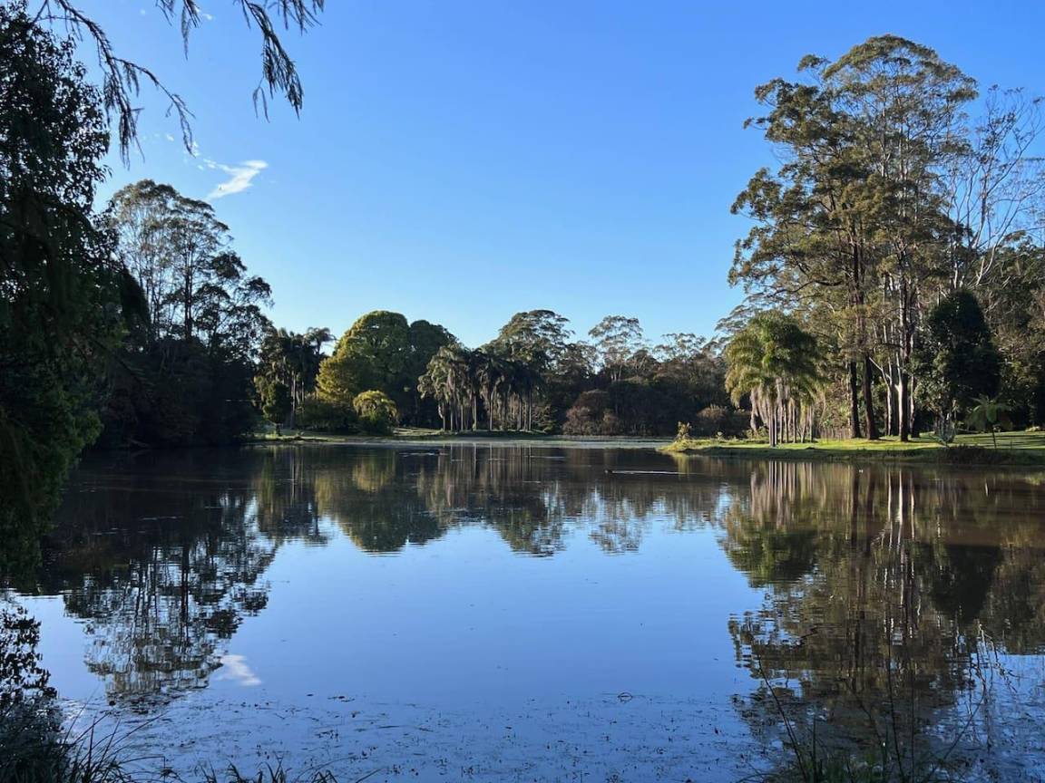 80 M² Cottage ∙ 1 Bedroom ∙ 4 Guests - Maleny