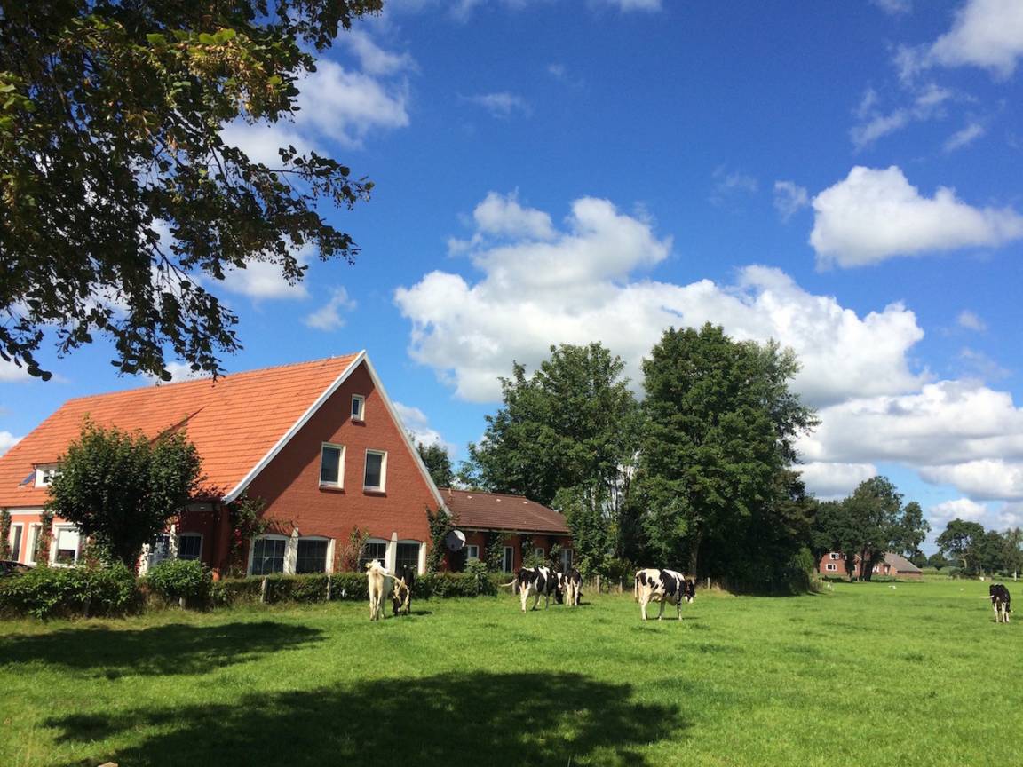 650 M² Maison De Vacances ∙ 10 Chambres ∙ 18 Personnes - Rhauderfehn