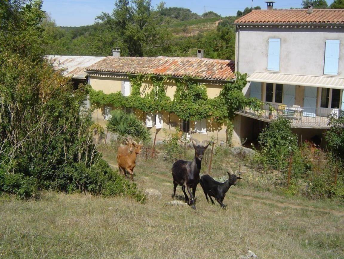 50 M² Gîte ∙ 2 Chambres ∙ 6 Personnes - Occitanie