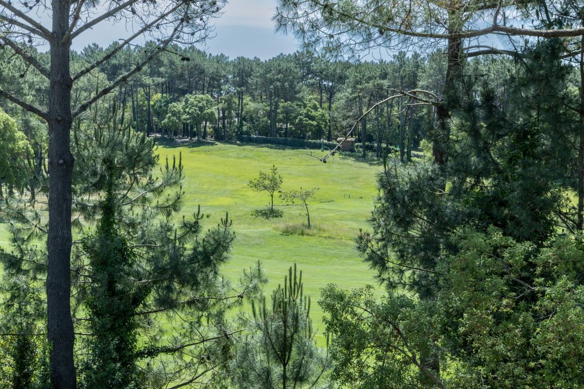 35 M² Appartement ∙ 1 Slaapkamer ∙ 4 Gasten - Moliets-et-Maâ