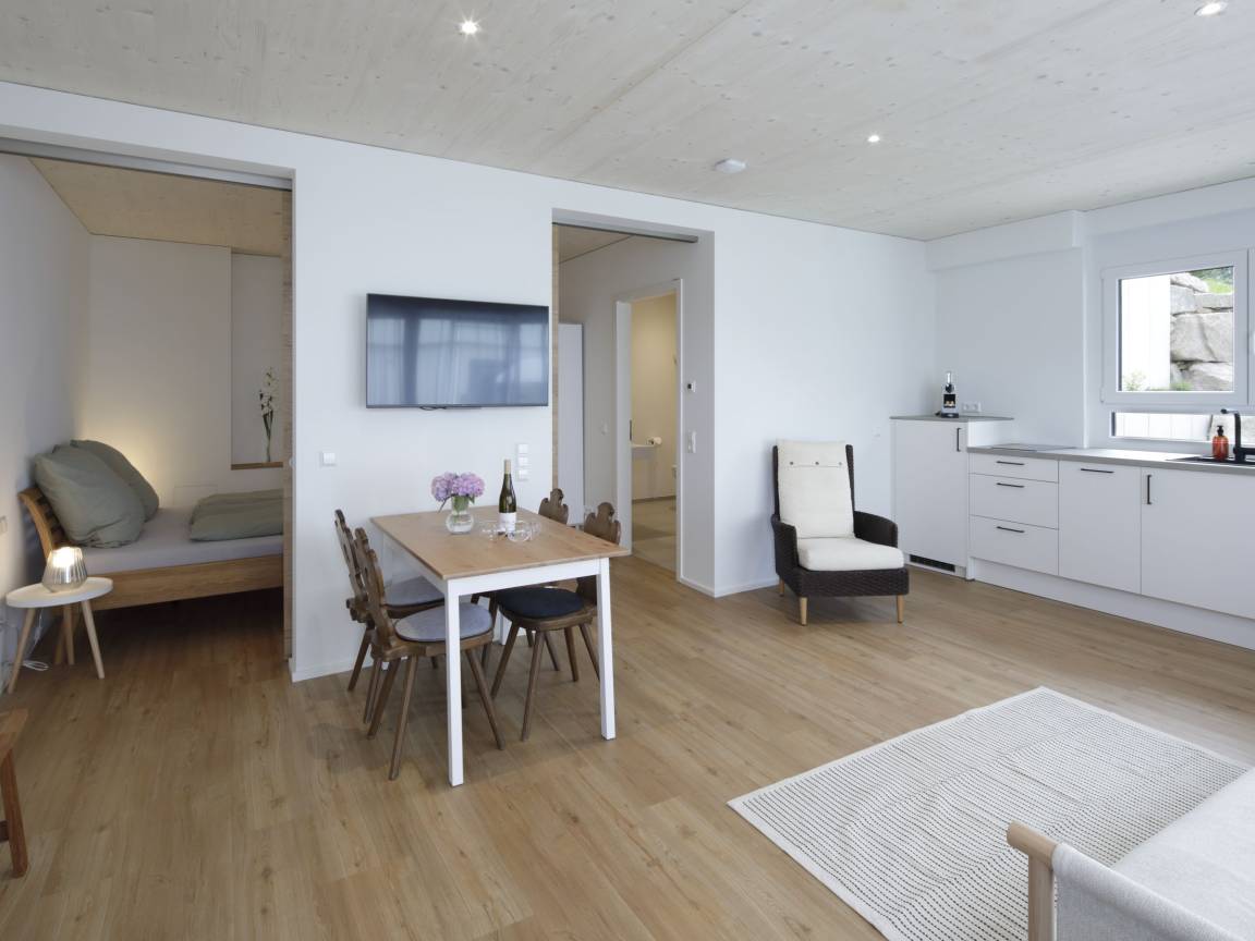 45 M² Apartment ∙ 1 Bedroom ∙ 3 Guests - Freiburg