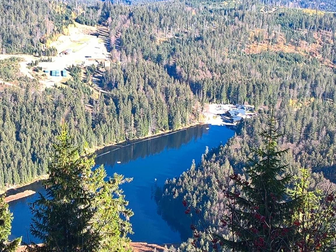 55 M² Ferienwohnung ∙ 1 Schlafzimmer ∙ 2 Gäste - Bodenmais