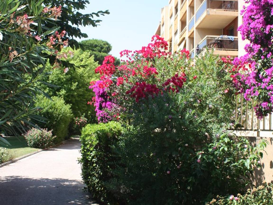 30 M² Appartement ∙ 1 Slaapkamer ∙ 4 Gasten - Hyères
