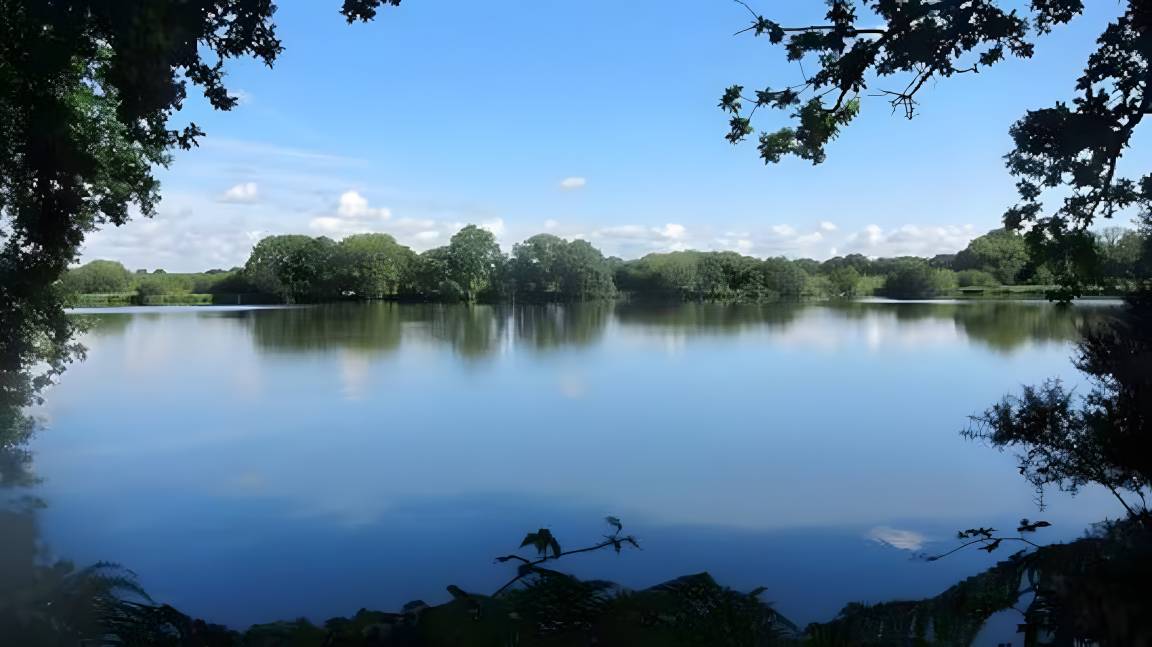 45 M² Apartment ∙ 1 Bedroom ∙ 4 Guests - Vannes