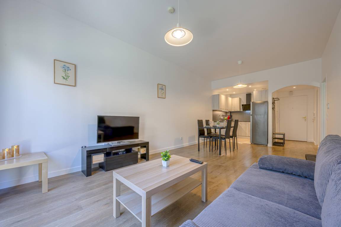50 M² Apartment ∙ 1 Bedroom ∙ 4 Guests - Aix-les-Bains