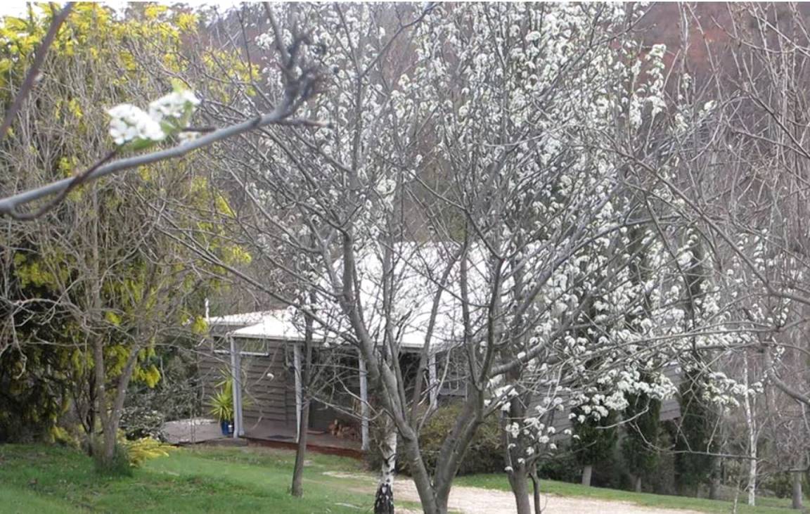 Villa ∙ 1 Bedroom ∙ 2 Guests - Hepburn Springs