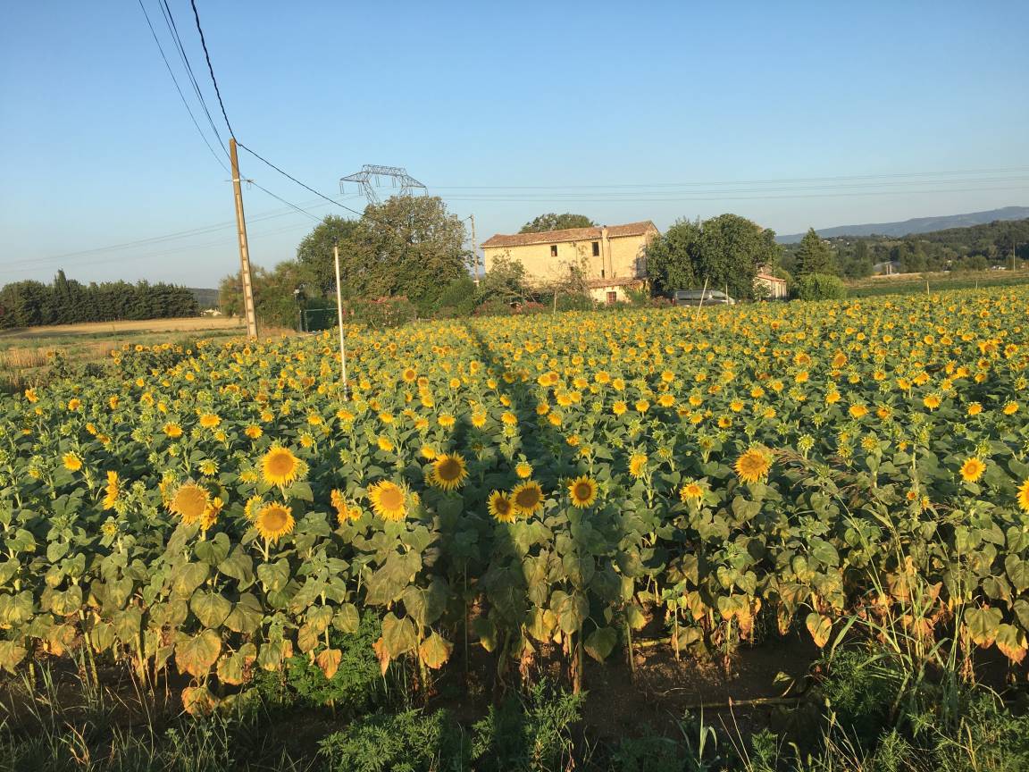 25 M² Bed And Breakfast ∙ 1 Camera Da Letto ∙ 2 Ospiti - Montélimar