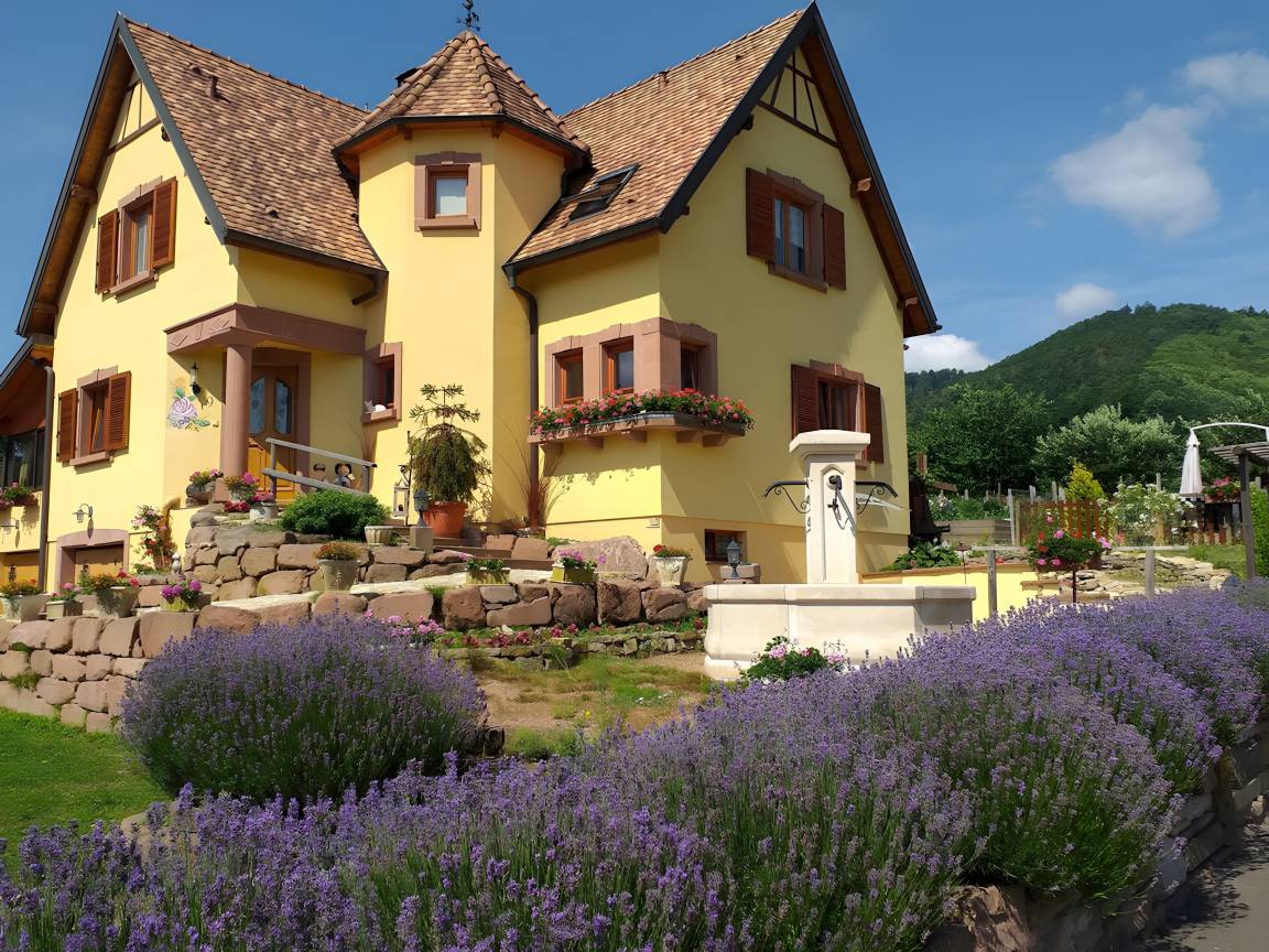 30 M² Chambre D'hôtes ∙ 1 Chambre ∙ 2 Personnes - Osenbach