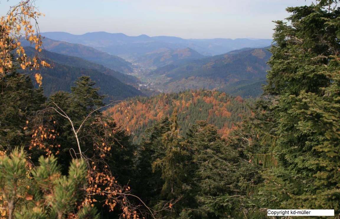 135 M² House ∙ 4 Bedrooms ∙ 8 Guests - Black Forest