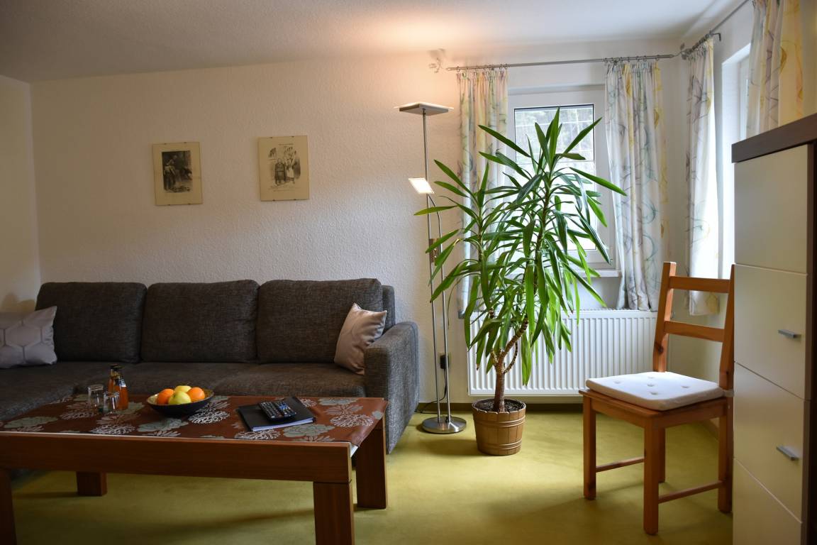 Ferienwohnung ∙ 1 Schlafzimmer ∙ 2 Gäste - Neuhaus am Rennweg