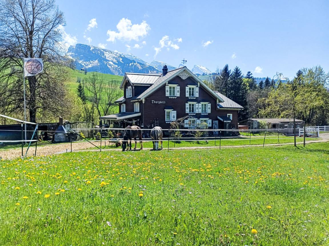 40 M² Ferienwohnung ∙ 4 Gäste - Wildhaus