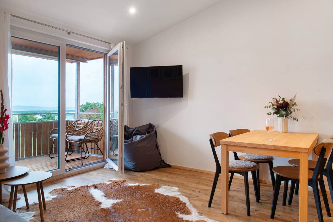 55 M² Apartment ∙ 2 Bedrooms ∙ 4 Guests - Donaueschingen