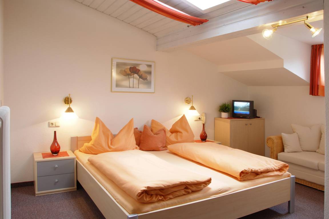 Hotelli ∙ 1 Makuuhuone ∙ 2 Vierasta - Saalfelden