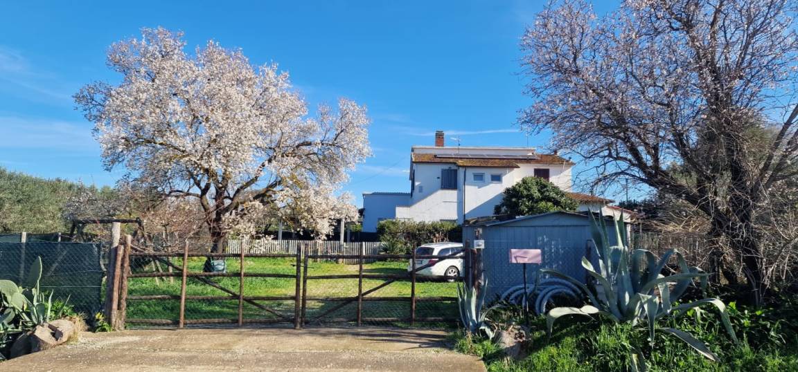 100 M² Huis ∙ 2 Slaapkamers ∙ 5 Gasten - Capalbio