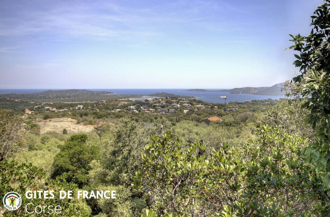 19 M² Gîte ∙ 2 Gäste - Porto-Vecchio