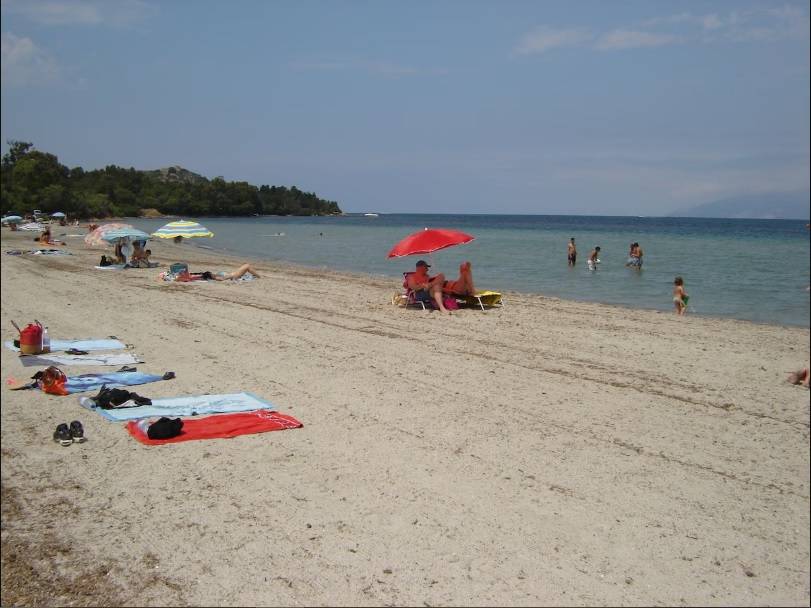 Appartement ∙ 1 Chambre ∙ 5 Personnes - Plage Farinole