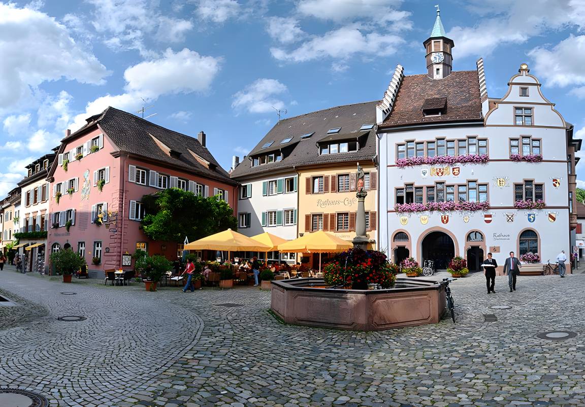 35 M² Studio Flat ∙ 2 Guests - Freiburg im Breisgau