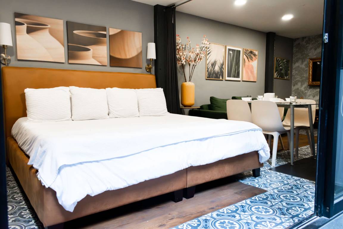 Apartment ∙ 1 Bedroom ∙ 3 Guests - Mexico City