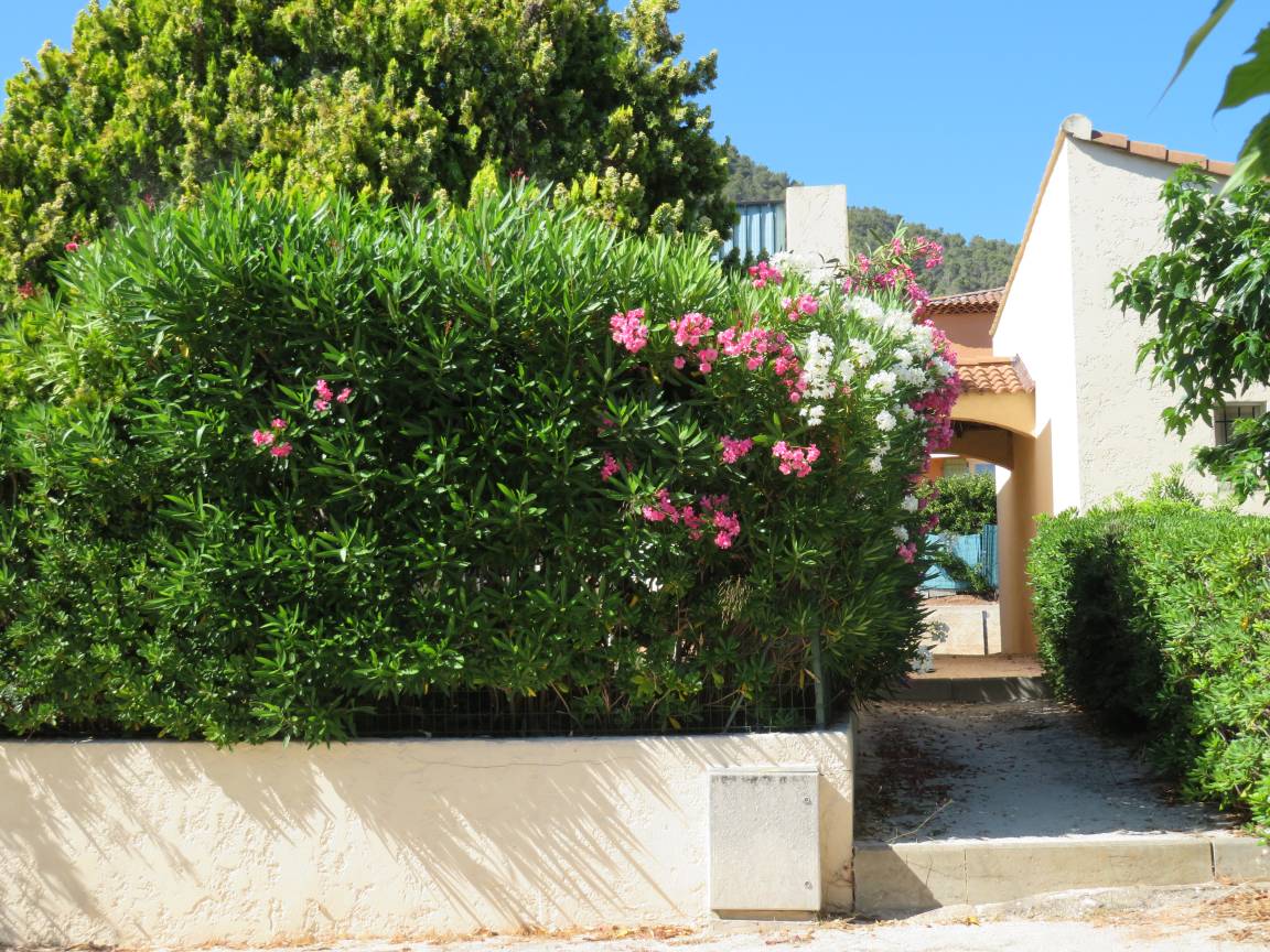 32 M² Appartement ∙ 1 Chambre ∙ 4 Personnes - Carqueiranne