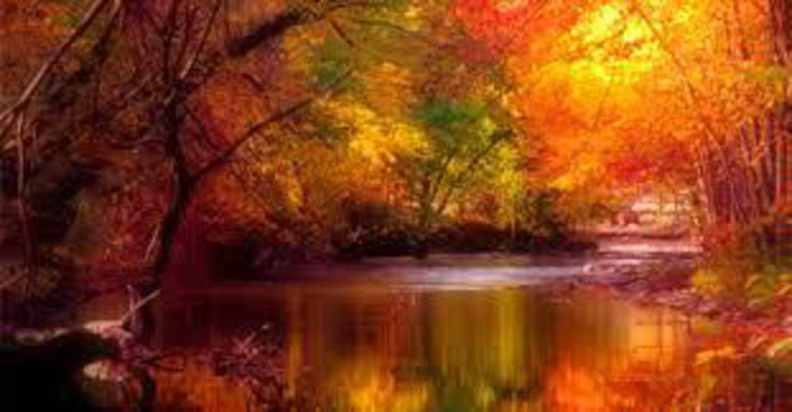 70 M² Cabin ∙ 3 Bedrooms ∙ 8 Guests - Portland, OR