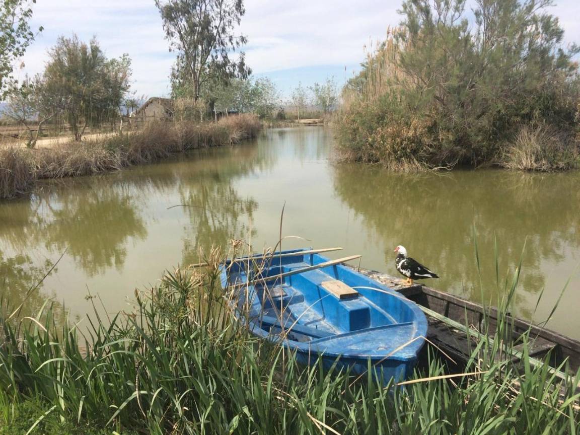 House ∙ 2 Bedrooms ∙ 6 Guests - Deltebre