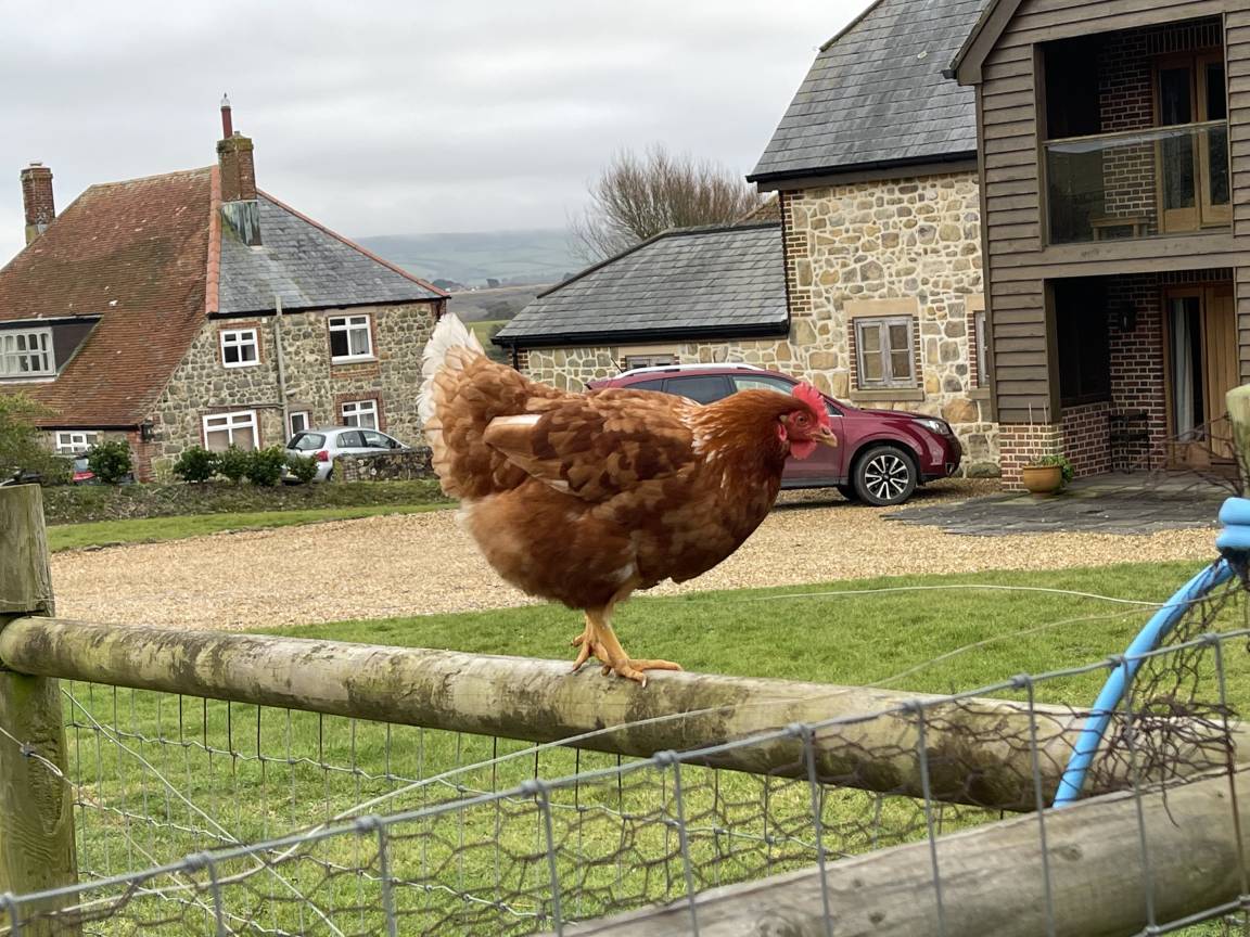 40 M² Cottage ∙ 1 Bedroom ∙ 2 Guests - Hampshire