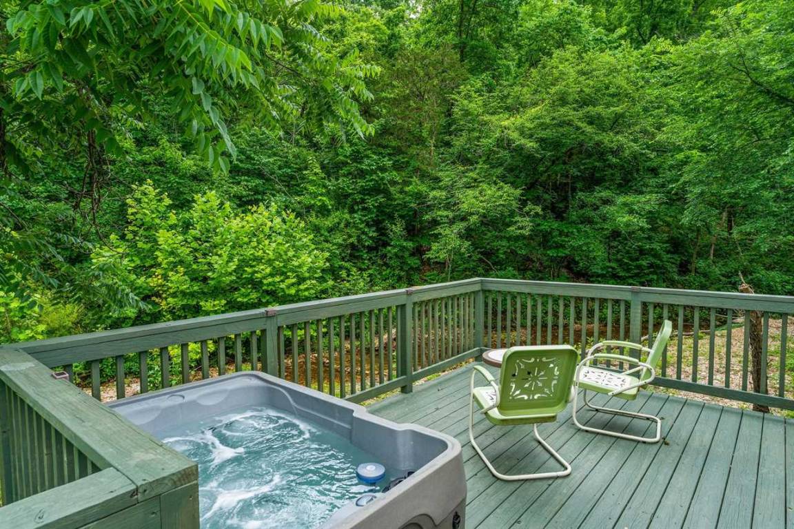 47 M² Cabin ∙ 1 Bedroom ∙ 4 Guests - Coney Island, MO