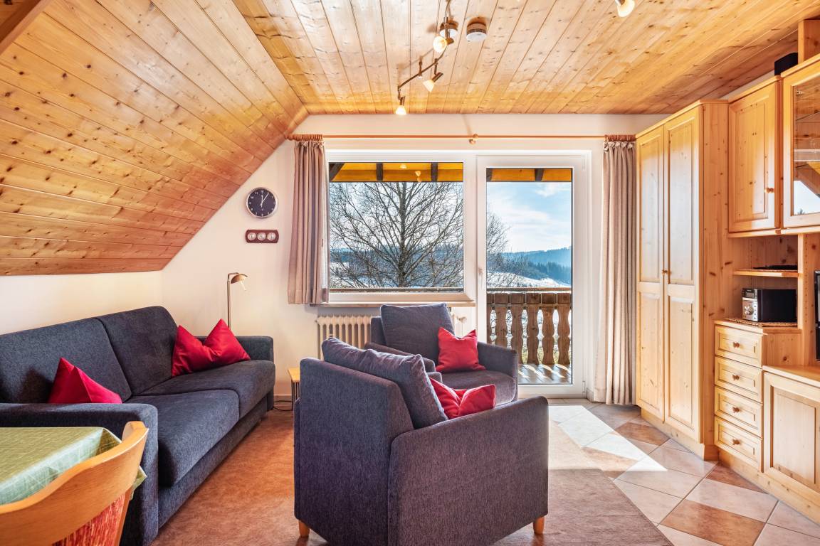 72 M² Apartment ∙ 2 Bedrooms ∙ 4 Guests - Titisee-Neustadt