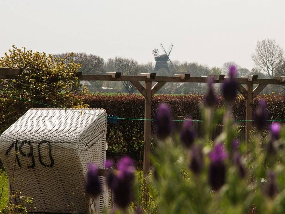 40 M² Apartment ∙ 1 Bedroom ∙ 2 Guests - Kronsgaard