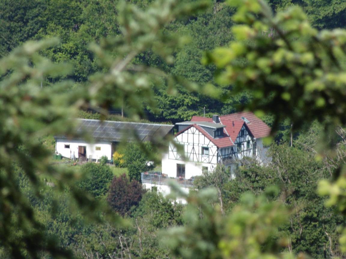 42 M² Apartamento ∙ 1 Habitación ∙ 4 Huéspedes - Andernach