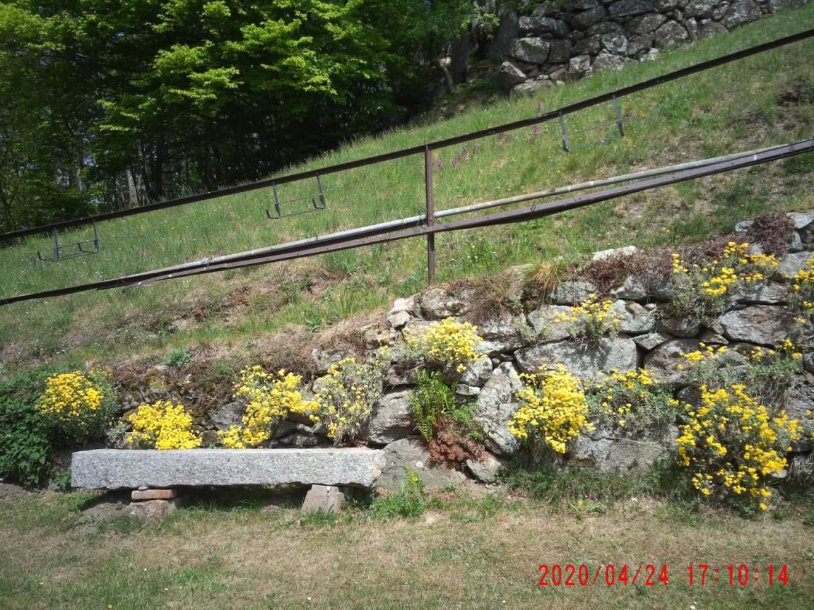 58 M² Gîte ∙ 2 Chambres ∙ 4 Personnes - Orbey