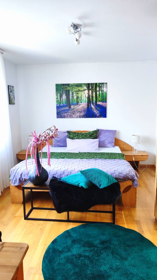 60 M² Apartment ∙ 1 Bedroom ∙ 3 Guests - Weinheim