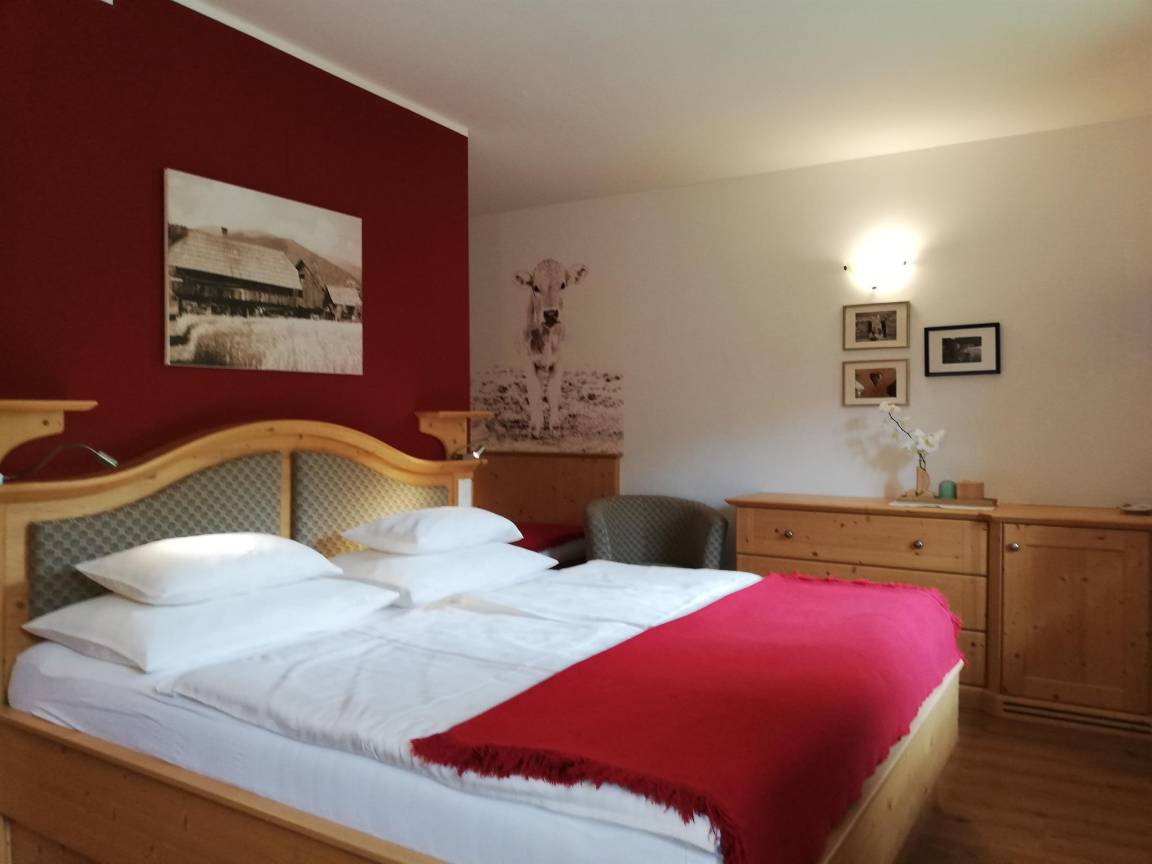 25 M² Hotel ∙ 1 Bedroom ∙ 3 Guests - Feld am See