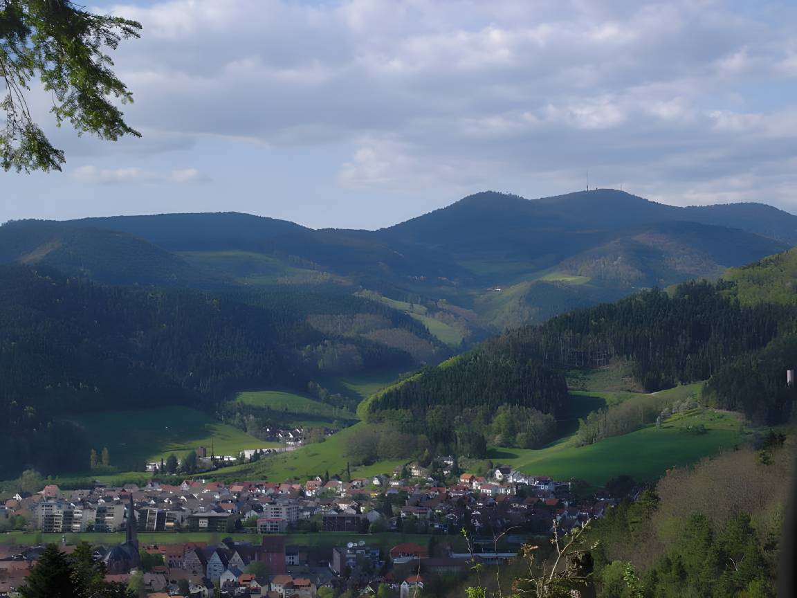 65 M² Ferienwohnung ∙ 2 Schlafzimmer ∙ 4 Gäste - Zell am Harmersbach
