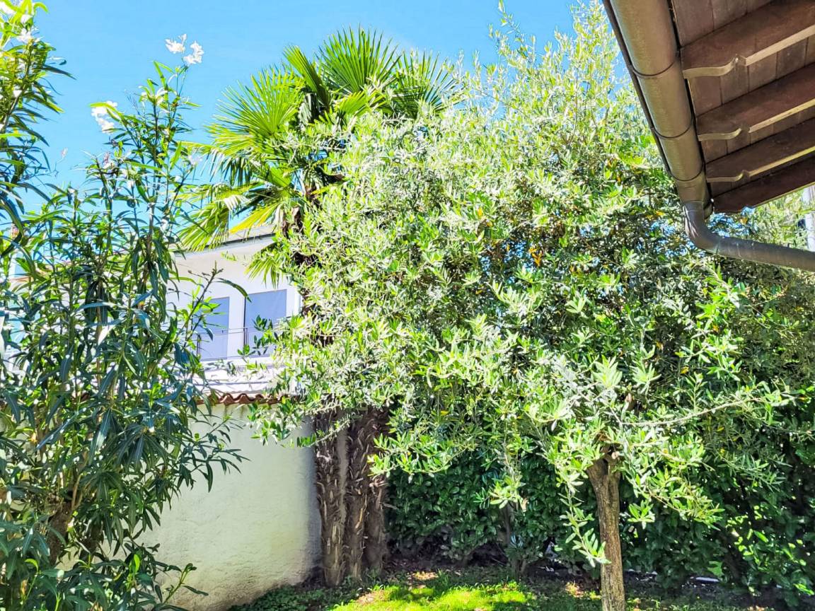 114 M² Huis ∙ 1 Slaapkamer ∙ 5 Gasten - Locarno