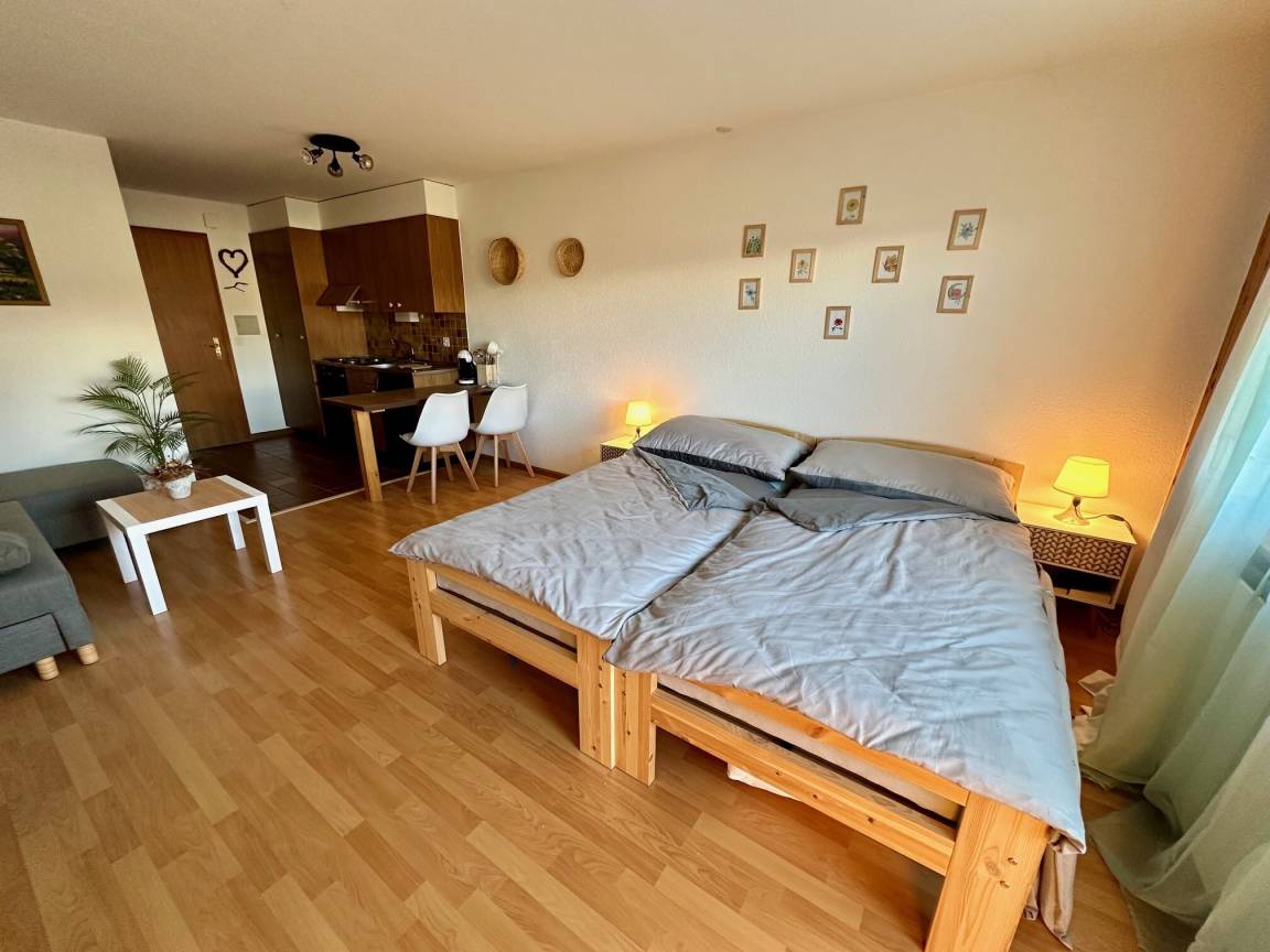 23 M² Apartment ∙ 1 Bedroom ∙ 2 Guests - Nax