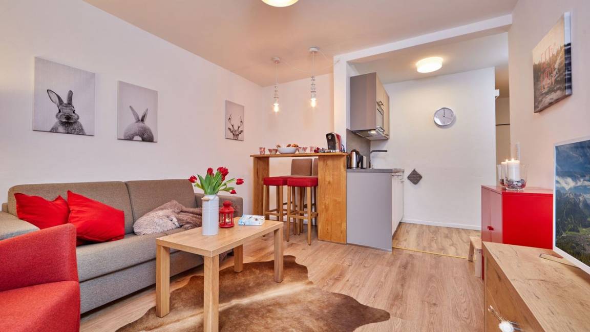 50 M² Apartment ∙ 1 Bedroom ∙ 2 Guests - Grainau