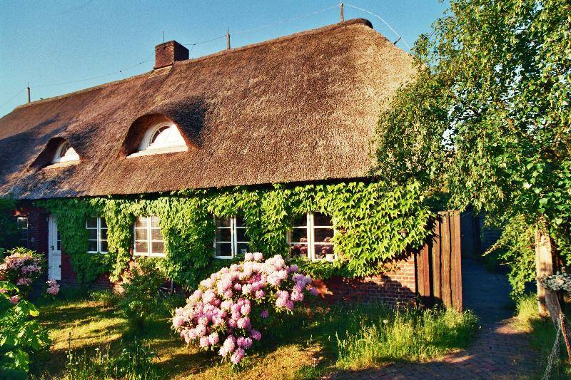60 M² Ferienhaus ∙ 2 Schlafzimmer ∙ 4 Gäste - Amrum